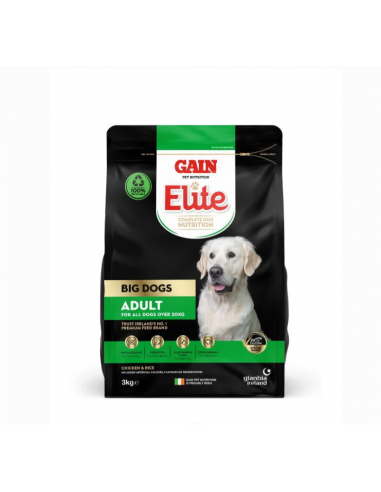 GAIN BIG DOG ADULT FOOD 12KG